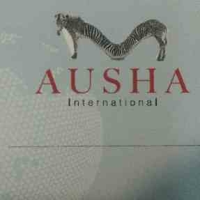 | Ausha International in Gurugram
