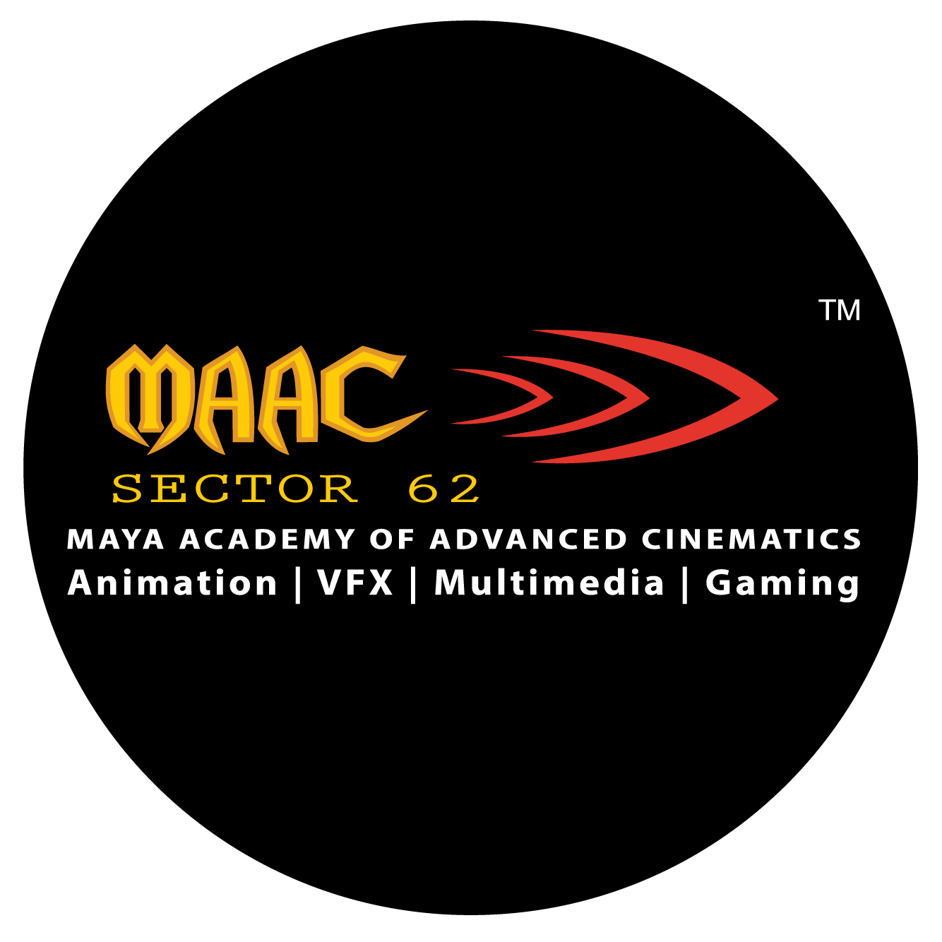 MAAC Animation Noida in Noida, India
