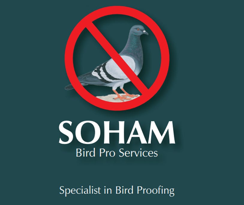 Invisible Grills are the Perfect Safety Solution f | SOHAM BIRD PRO ...