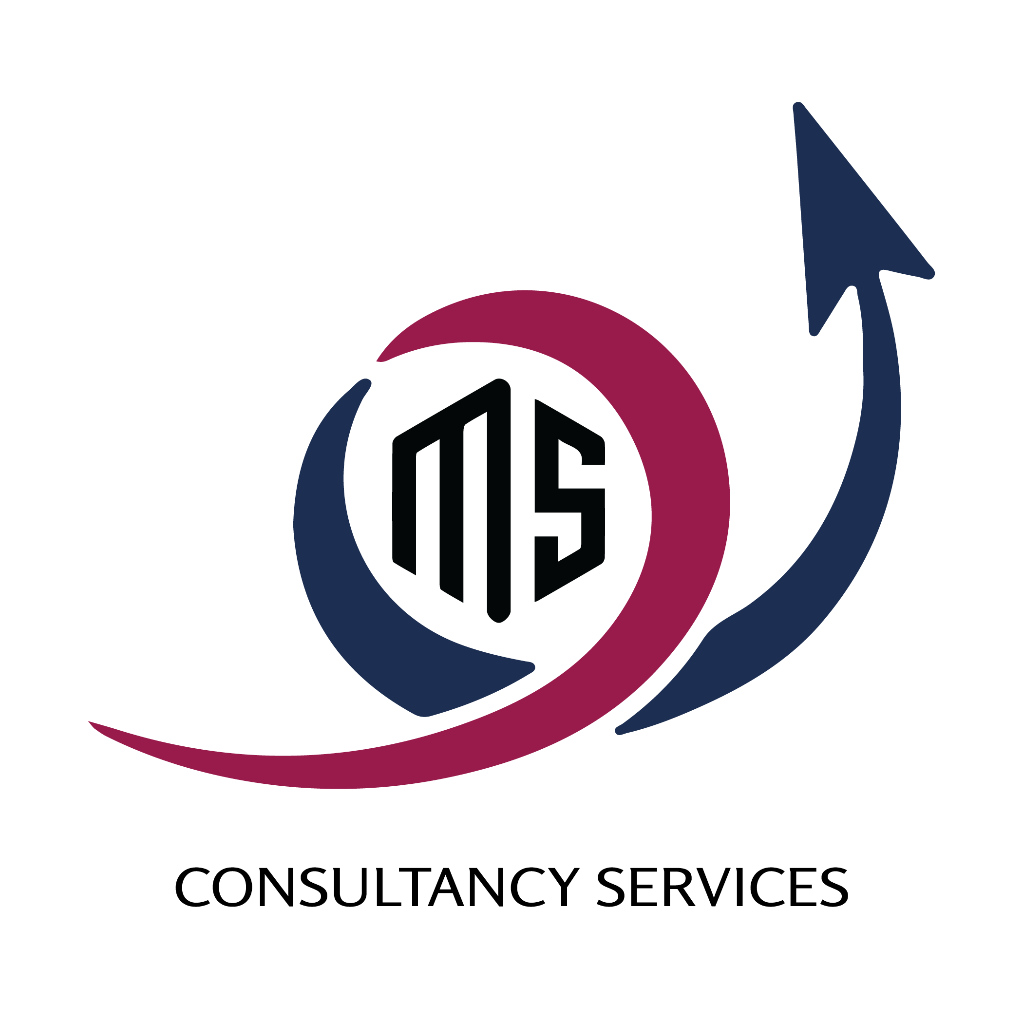 MS Consultancy Services - Top Rated Services in Mumbai (Maharashtra)