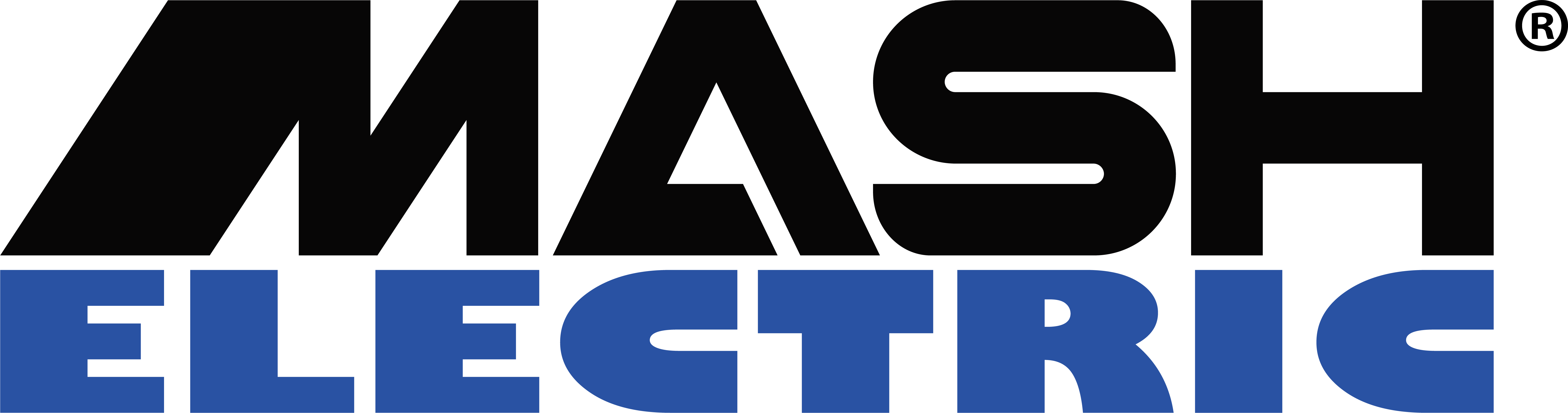 Our Team | MASH ELECTRIC, India